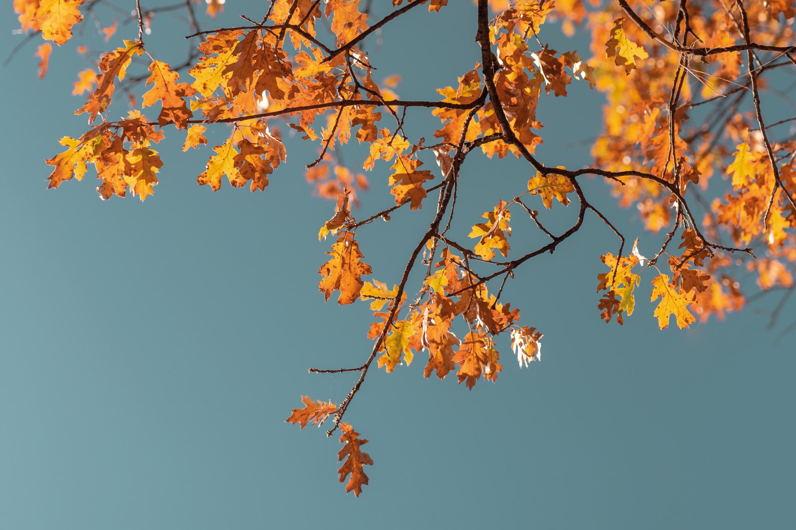 Events at Stephens Scown | Stephens Scown