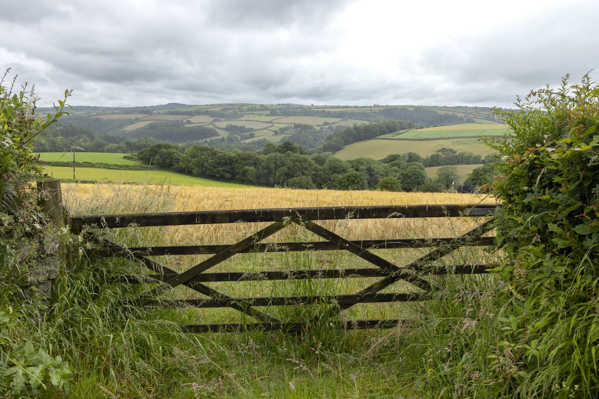 Stephens Scown LLP | Solicitors in Cornwall, Devon and Somerset